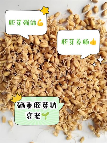 小麦胚芽的功效与作用_小麦胚芽怎么吃最好-第3张图片-山城妙识 小麦胚芽的功效与作用_小麦胚芽怎么吃最好-第3张图片-山城妙识