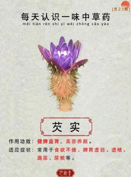 鲜芡实怎么吃_鲜芡实的功效与作用-第2张图片-山城妙识