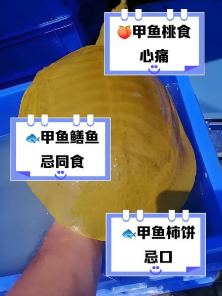 吃甲鱼会不会影响运气_甲鱼风水禁忌-第1张图片-山城妙识