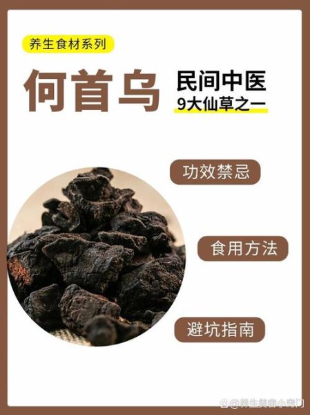 何首乌怎么吃效果最好_何首乌食用方法禁忌-第1张图片-山城妙识 何首乌怎么吃效果最好_何首乌食用方法禁忌-第1张图片-山城妙识
