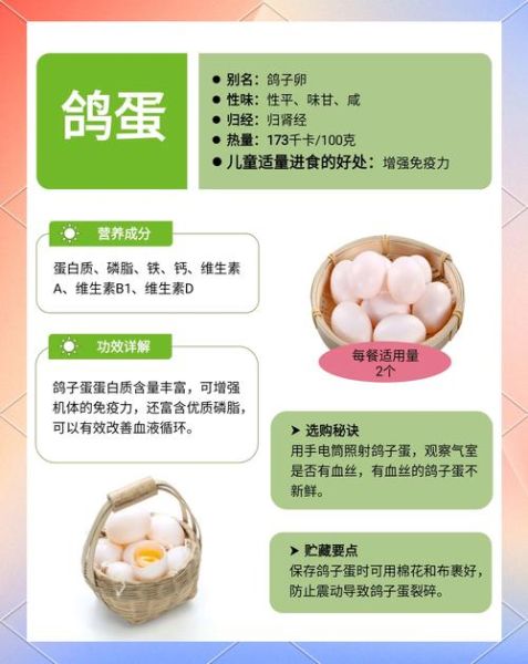 男人吃鸽子蛋的好处_男人吃鸽子蛋能壮阳吗-第1张图片-山城妙识