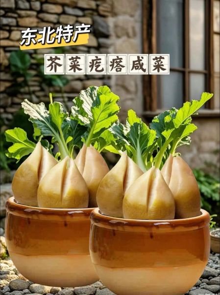 拌芥菜疙瘩咸菜怎么做_芥菜疙瘩咸菜保存多久-第1张图片-山城妙识