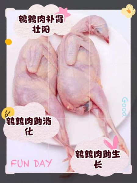 鹌鹑的营养价值_鹌鹑的功效与作用-第1张图片-山城妙识