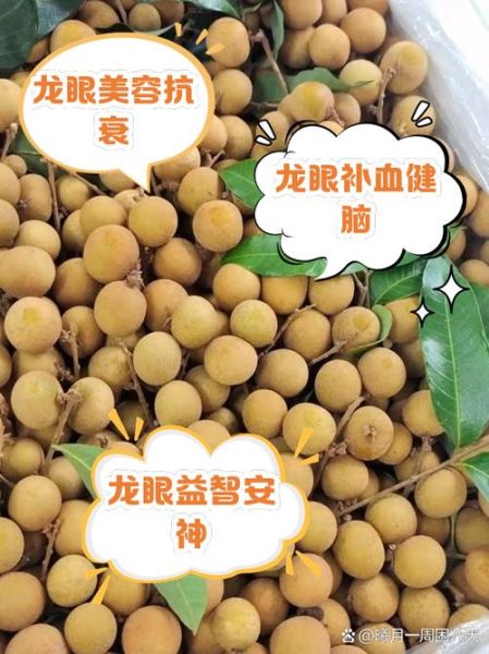 龙眼的功效与作用_龙眼什么人不能吃-第2张图片-山城妙识 龙眼的功效与作用_龙眼什么人不能吃-第2张图片-山城妙识