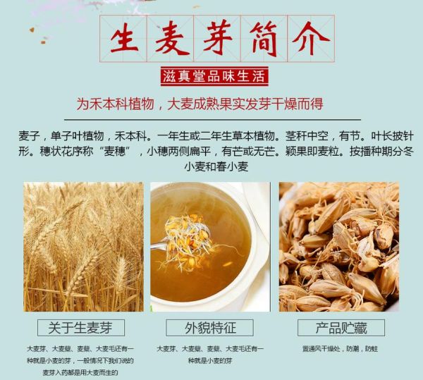 麦芽的功效与作用及禁忌_麦芽怎么吃最好-第3张图片-山城妙识 麦芽的功效与作用及禁忌_麦芽怎么吃最好-第3张图片-山城妙识