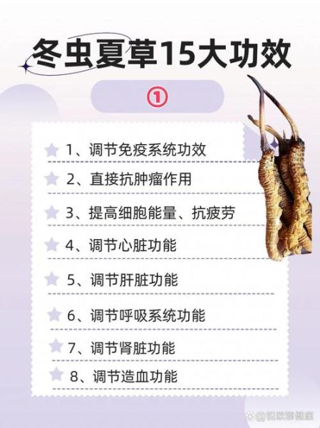 虫草的功效与作用及食用方法_虫草怎么吃效果最好-第2张图片-山城妙识