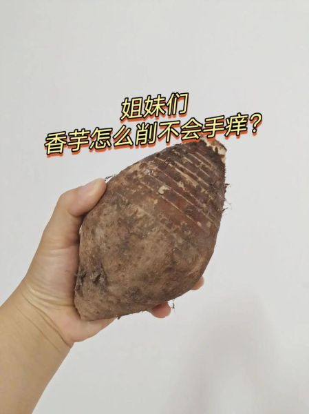 碰了芋头手痒怎么办_止痒最快方法-第3张图片-山城妙识