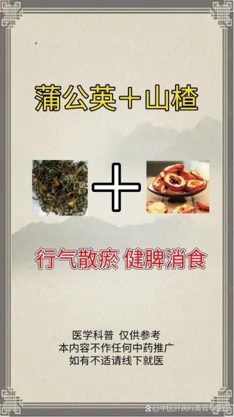 脂肪肝喝蒲公英好不好_蒲公英对脂肪肝有用吗-第2张图片-山城妙识