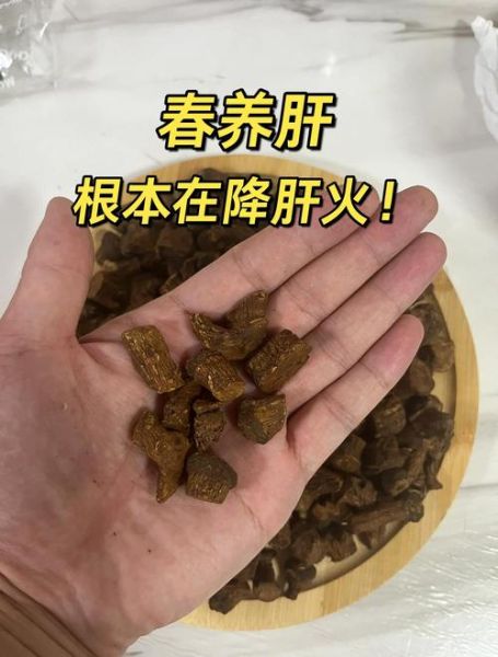 脂肪肝喝蒲公英好不好_蒲公英对脂肪肝有用吗-第1张图片-山城妙识
