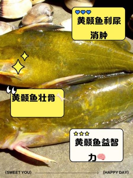 黄刺鱼的功效与禁忌_什么人不能吃-第1张图片-山城妙识 黄刺鱼的功效与禁忌_什么人不能吃-第1张图片-山城妙识