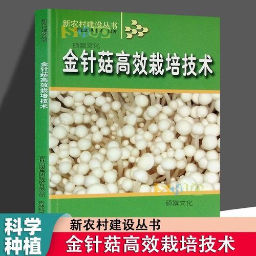 金针菇怎么种植_金针菇种植方法-第2张图片-山城妙识