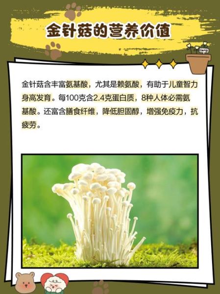 金针菇怎么种植_金针菇种植方法-第3张图片-山城妙识
