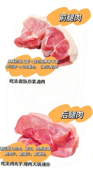 猪的部位大全图解_猪身上哪个部位最嫩-第3张图片-山城妙识