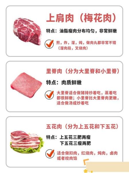 猪的部位大全图解_猪身上哪个部位最嫩-第2张图片-山城妙识