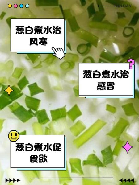 葱白煮水要煮几分钟_葱白煮水正确做法-第1张图片-山城妙识 葱白煮水要煮几分钟_葱白煮水正确做法-第1张图片-山城妙识