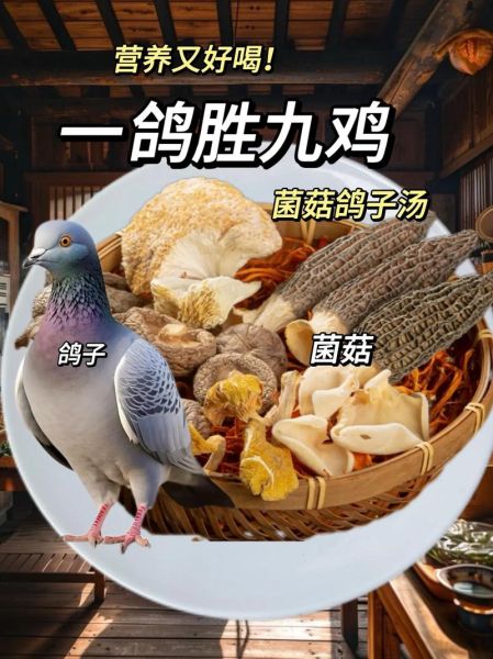 鸽子竹荪汤怎么炖好喝_鸽子竹荪汤的做法大全-第3张图片-山城妙识 鸽子竹荪汤怎么炖好喝_鸽子竹荪汤的做法大全-第3张图片-山城妙识