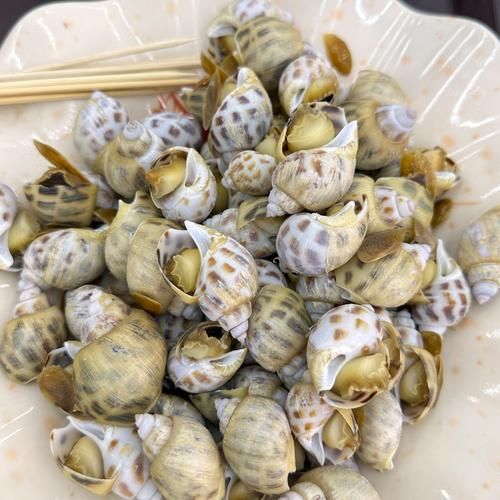 花螺哪些部位不能吃_花螺内脏图解-第3张图片-山城妙识