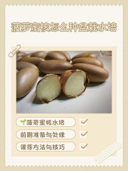 菠萝蜜的核怎么种盆栽_多久发芽-第2张图片-山城妙识 菠萝蜜的核怎么种盆栽_多久发芽-第2张图片-山城妙识