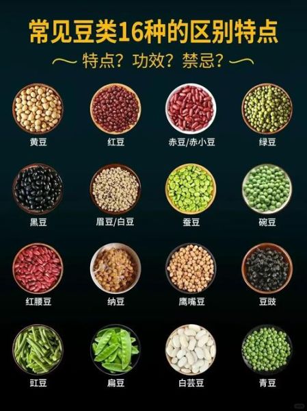 豆类品种大全_哪些豆子适合日常食用-第1张图片-山城妙识