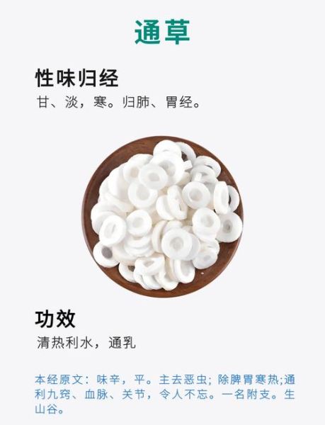 通草的功效与作用有哪些_通草怎么泡水喝-第1张图片-山城妙识 通草的功效与作用有哪些_通草怎么泡水喝-第1张图片-山城妙识