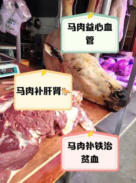 马肉的功效与作用_马肉适合什么人吃-第1张图片-山城妙识