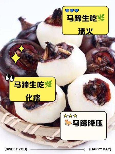 马蹄的功效与作用禁忌_什么人不能吃马蹄-第1张图片-山城妙识