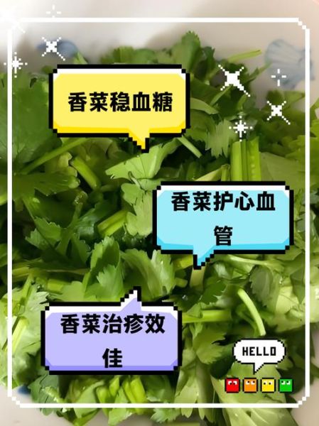 香菜的营养价值_香菜的药用价值有哪些-第3张图片-山城妙识