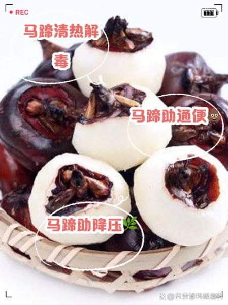 马蹄的功效与作用禁忌_什么人不能吃马蹄-第3张图片-山城妙识