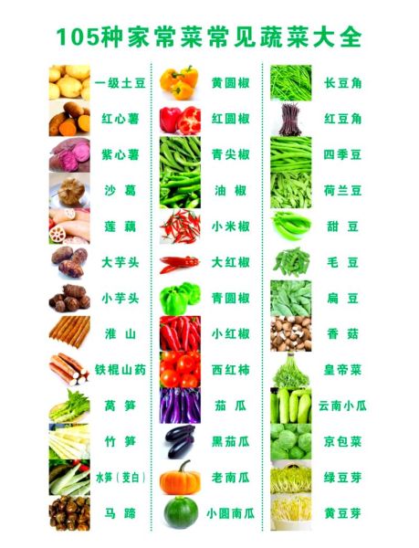 蔬菜大全图片和名字_常见蔬菜种类有哪些-第1张图片-山城妙识