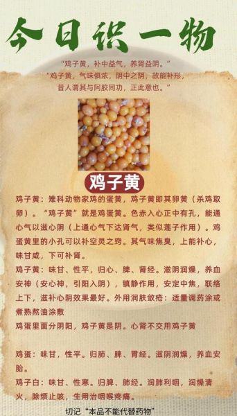 鸡子黄怎么入药_鸡子黄的功效与用法-第1张图片-山城妙识