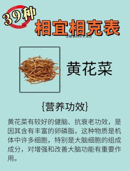 黄花菜什么人不能吃_黄花菜禁忌人群-第1张图片-山城妙识
