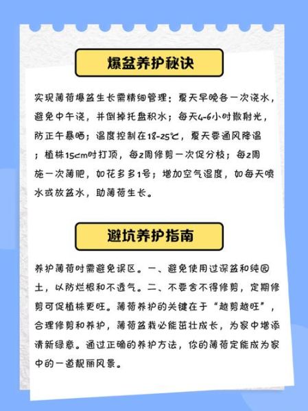 薄荷怎么养才能更旺盛_薄荷多久浇一次水-第1张图片-山城妙识