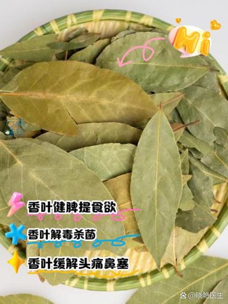 香叶的功效与作用_香叶的正确吃法-第2张图片-山城妙识