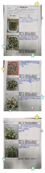 豆苗呀豆苗呀微博内容怎么写_豆苗呀豆苗呀微博涨粉技巧-第1张图片-山城妙识