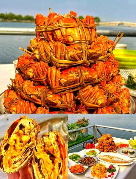 阳澄湖大闸蟹什么时候吃最好_最佳品蟹月份-第3张图片-山城妙识