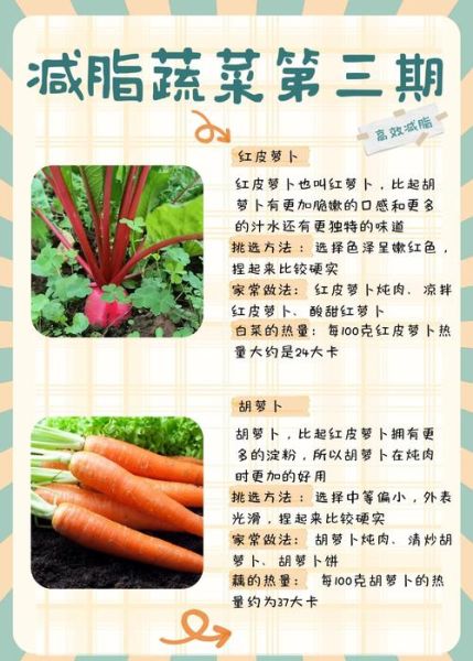 红皮萝卜怎么做好吃_家常红皮萝卜做法大全-第1张图片-山城妙识