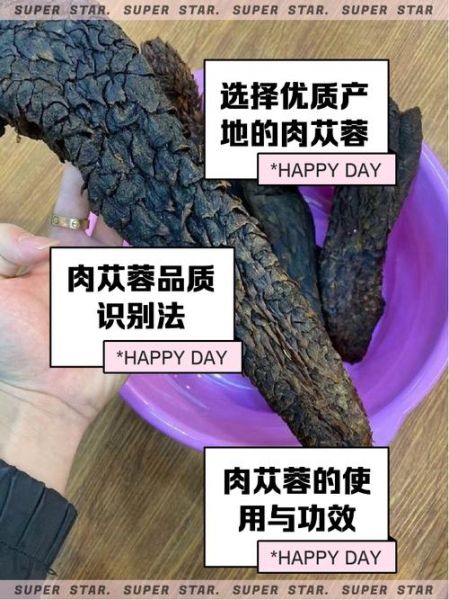 肉苁蓉有什么作用_肉苁蓉怎么吃效果最好-第1张图片-山城妙识