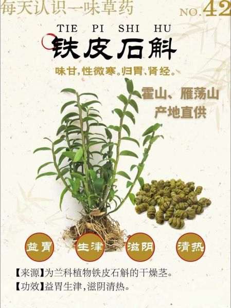 铁皮石斛怎么吃_铁皮石斛有什么功效-第1张图片-山城妙识