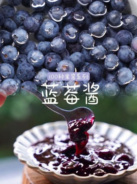 蓝莓果酱哪个牌子好吃_蓝莓果酱推荐-第3张图片-山城妙识