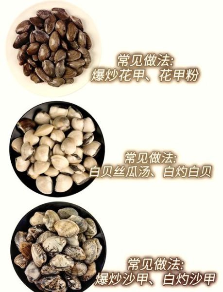 麻蛤和花蛤的区别_哪个更好吃-第1张图片-山城妙识