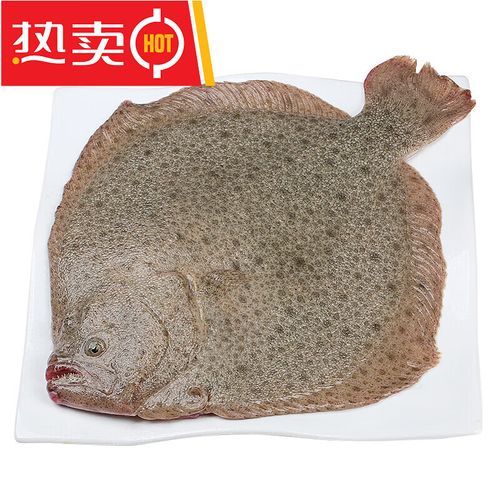 鸦片鱼图片多少钱一斤_鸦片鱼价格行情-第2张图片-山城妙识 鸦片鱼图片多少钱一斤_鸦片鱼价格行情-第2张图片-山城妙识