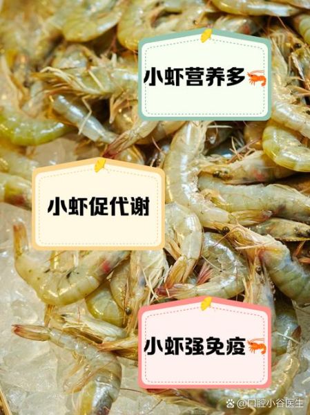 小虾吃什么食物长大_家养小虾饲料选择-第2张图片-山城妙识 小虾吃什么食物长大_家养小虾饲料选择-第2张图片-山城妙识