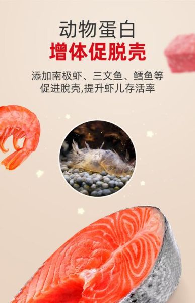 小虾吃什么食物长大_家养小虾饲料选择-第3张图片-山城妙识 小虾吃什么食物长大_家养小虾饲料选择-第3张图片-山城妙识