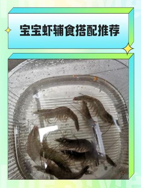 小虾吃什么食物长大_家养小虾饲料选择-第1张图片-山城妙识 小虾吃什么食物长大_家养小虾饲料选择-第1张图片-山城妙识