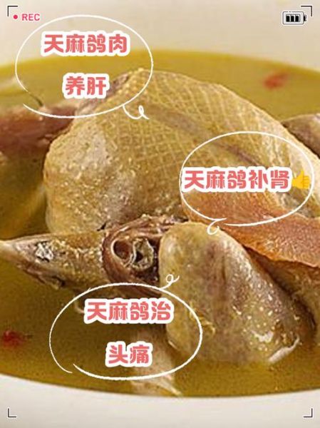 鸽子炖天麻的功效_孕妇可以吃吗-第3张图片-山城妙识