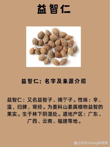 益智仁最佳配伍有哪些_益智仁和什么搭配效果最好-第1张图片-山城妙识