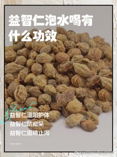 益智仁最佳配伍有哪些_益智仁和什么搭配效果最好-第2张图片-山城妙识