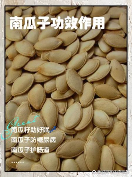 生南瓜子仁一天吃多少合适_生南瓜子仁的功效与作用-第2张图片-山城妙识