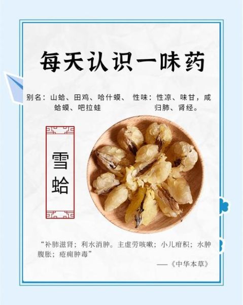 雪蛤膏是什么东西_雪蛤膏的功效与作用-第3张图片-山城妙识