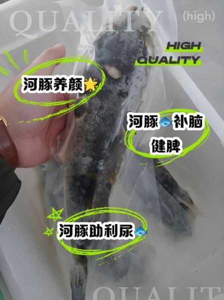 河豚怎么吃_河豚哪里有毒-第1张图片-山城妙识